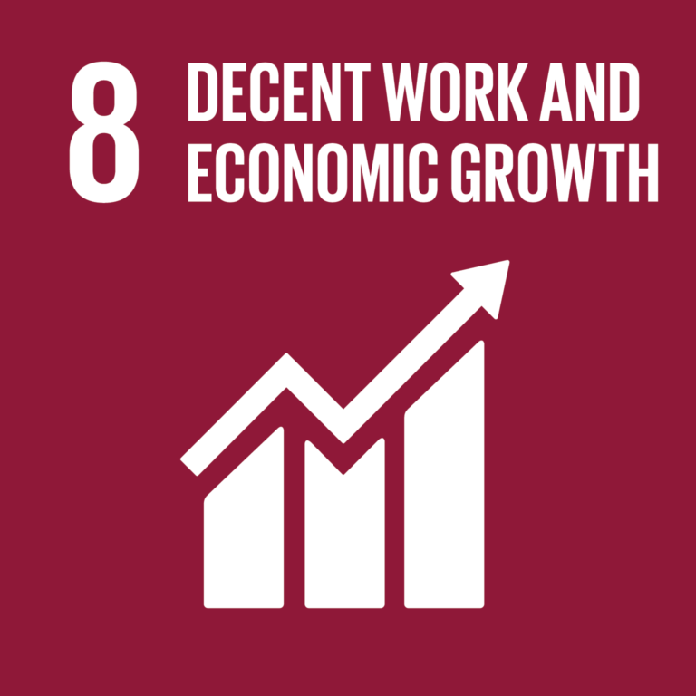 The Sustainable Development Goals Programme SDG8 Hub: Decent Work and ...